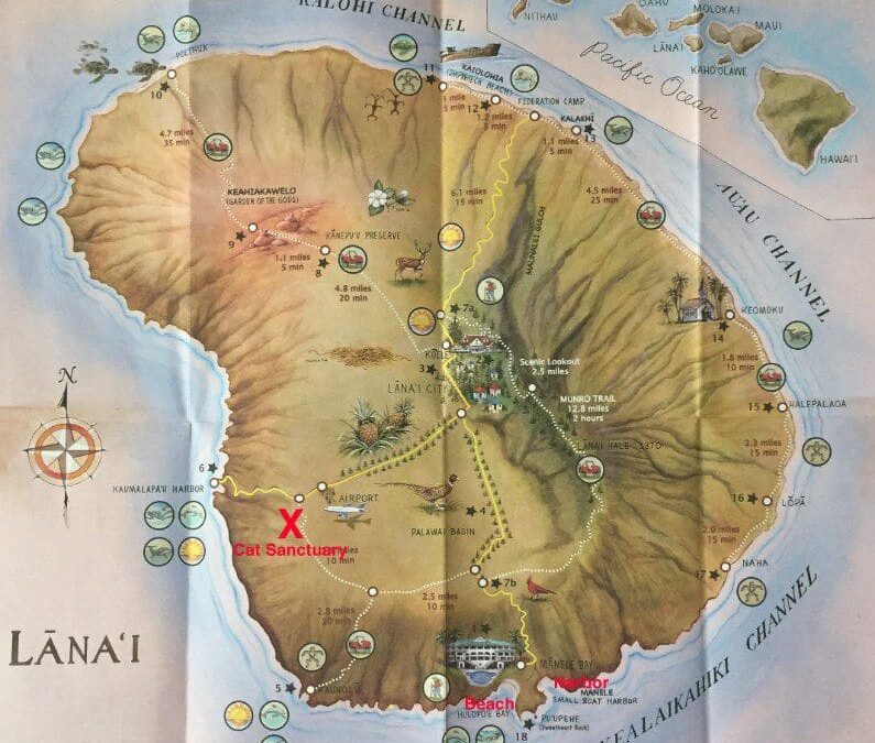 Map of Lanai Sm - Lost on Lanai