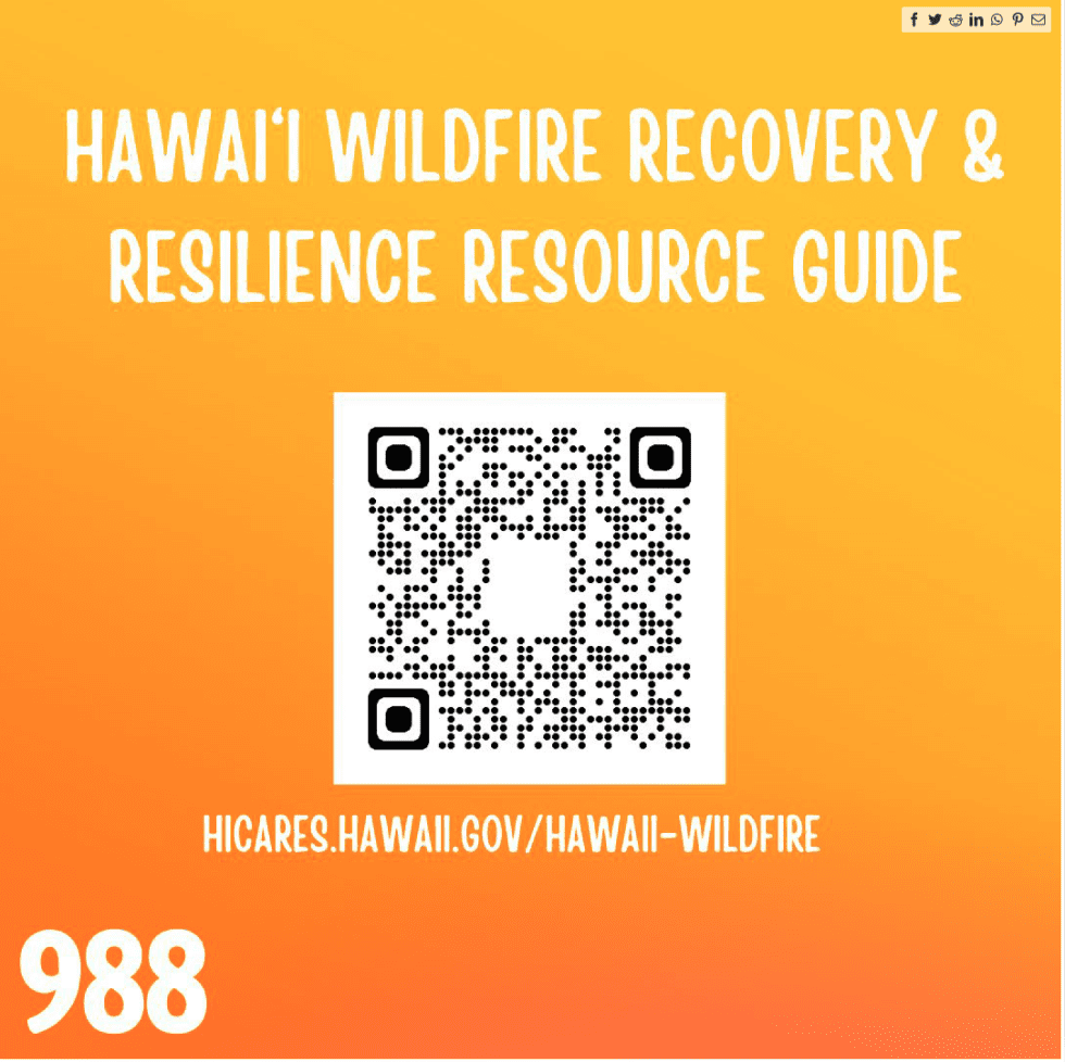 MAUI Fires - Links to Hawai‘i Wildfire Recovery & Resilience Resource ...
