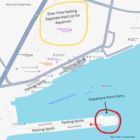 Getting Your Directions to Maalaea Harbor - Lost on Lanai